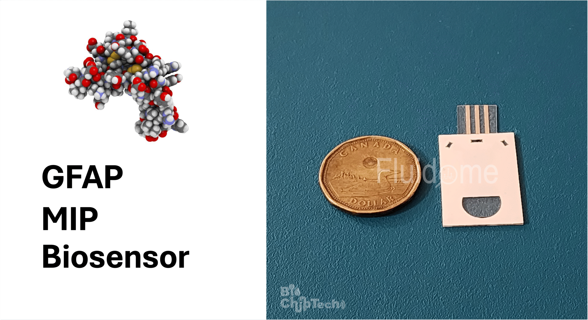 GFAP MIP Biosensor (RUO) - Fluidome
